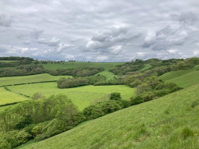 Regular recording days with Dorset Wildlife Trust – Dorset ...